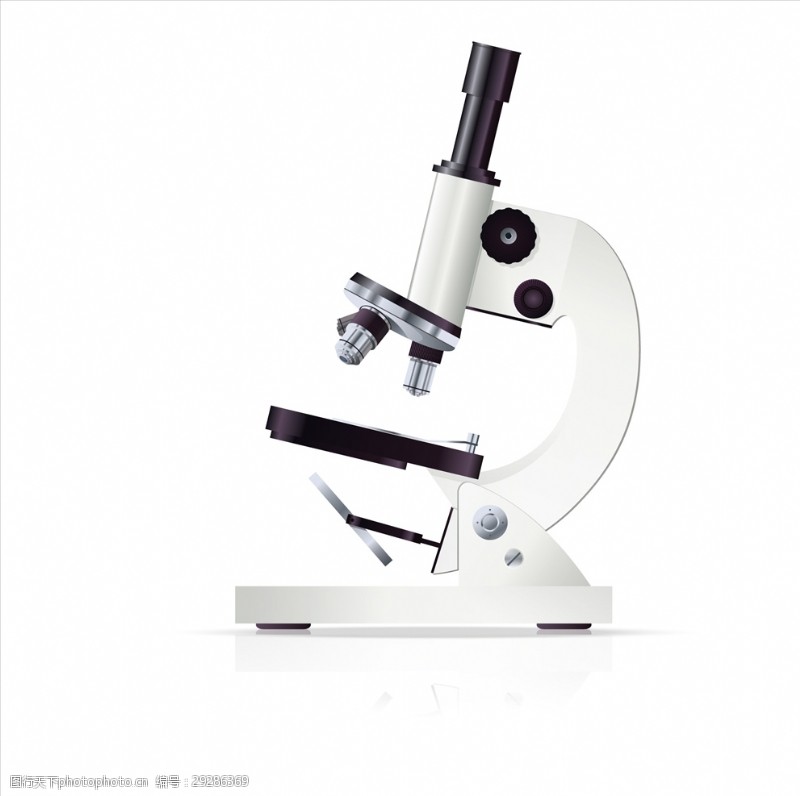 显微镜矢量素材图片免费下载_显微镜矢量素材素材_显微镜矢量素材模板-图行天下素材网